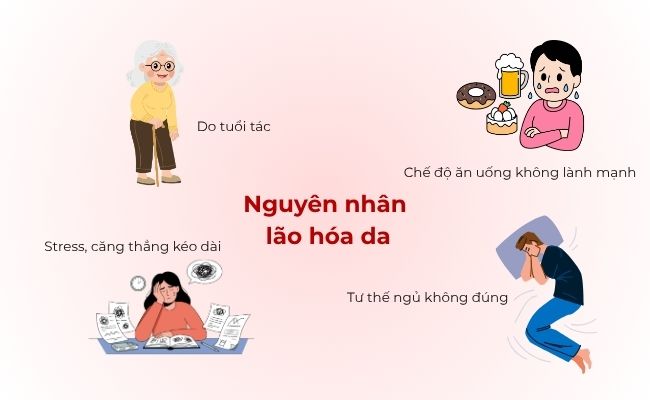 TOP 20 Kem Dưỡng Chống Lão Hóa Cho Từng Độ Tuổi | Kiehl’s